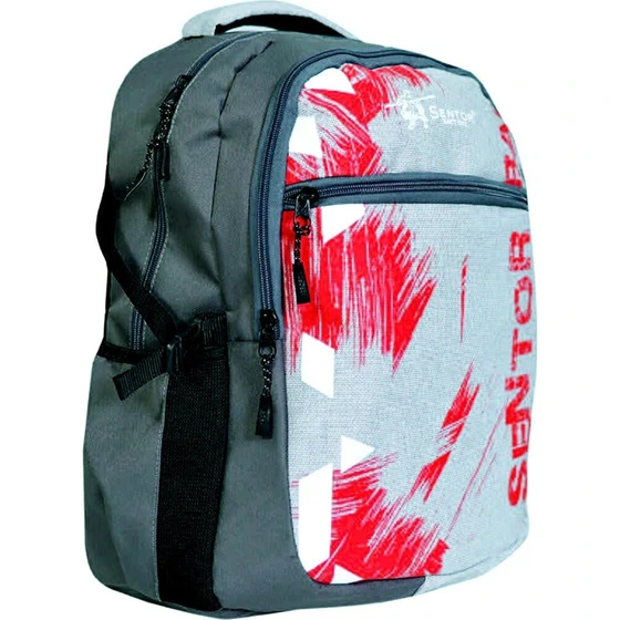 خرید و قیمت کیف مدرسه پسرانه سنتور SENTORSN511 - 20600 | Sentor | ترب