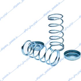 خرید و قیمت فنر پلوس پژو 405-سمند (EF7-XU7-XU7P)-دنا-پژو پارس وجودی(31139) | ترب