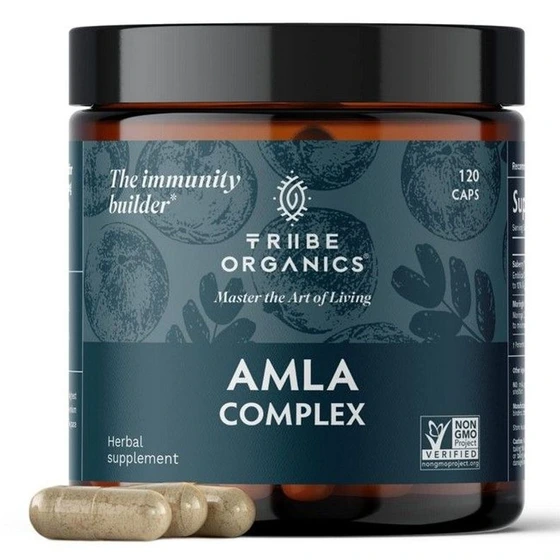 خرید و قیمت Organic Amalaki Amla Powder 120 Capsules With Moringa Superfood For Energy Immune ...