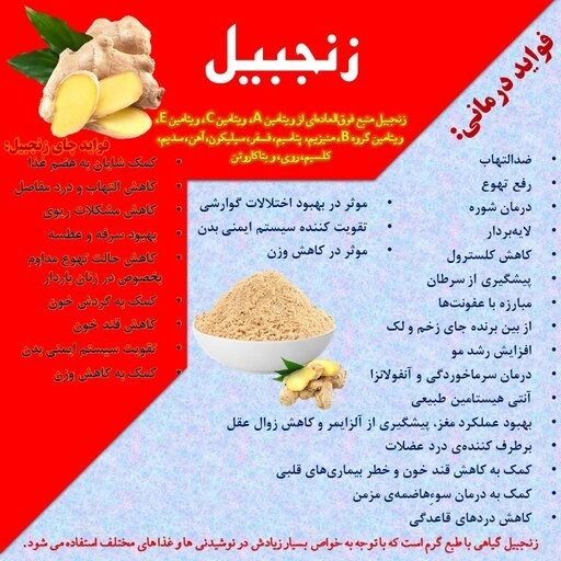 خرید و قیمت زنجبیل آسیاب شده اعلا یک کیلویی پودر زنجبیل ریشه زنجبیل گیاه زنجبیل ترب