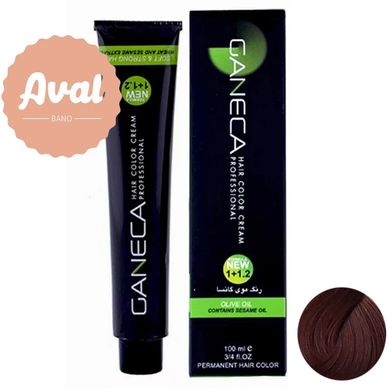 خرید و قیمت رنگ مو گانسا (Ganeca) شماره TL6 حجم 100 میلی‌لیتر رنگ بلوند ...