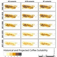 خرید و قیمت Climate change and coffee: assessing vulnerability by ...