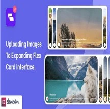 خرید و قیمت دانلود افزونه Wiloke Expanding Flex Cards برای المنتور | ترب