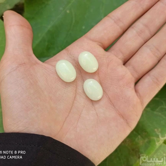 خرید و قیمت نگین شب نما پک 3عددی | ترب