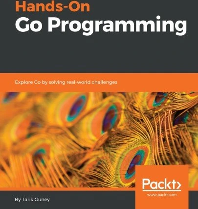 خرید و قیمت دانلود کتاب Hands-on Go programming: explore Go by solving ...