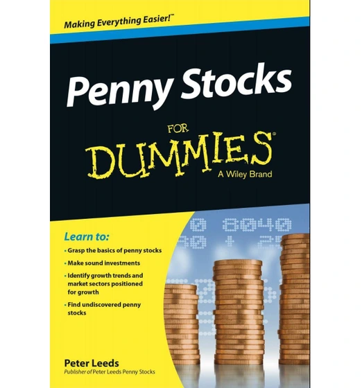 خرید و قیمت Penny Stocks For Dummies خرید کتاب زبان | ترب