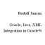 خرید و قیمت دانلود کتاب Oracle - Java, XML. Integration in Oracle9i GERMAN | ترب