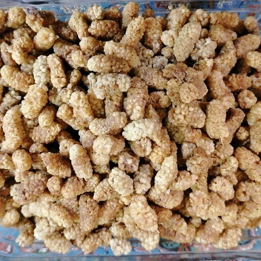 خرید و قیمت توت خشک نرم و تازه و شیرین (توت ارومیه ) | ترب