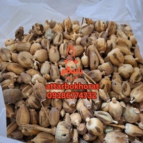 خرید و قیمت گرزخشخاش گرز خشخاش ایرانی سالم و شکسته درهم دارای مقداری ...