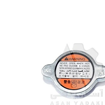 خرید و قیمت درب رادیاتور هیوندای /253303K000 | ترب