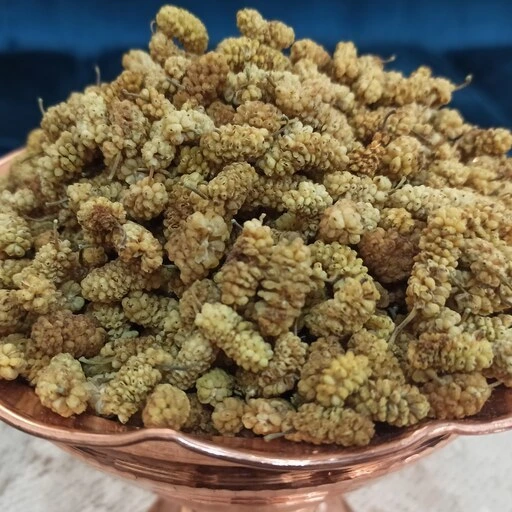 خرید و قیمت توت خشک ریز تازه ارگانیک بادومیا | ترب