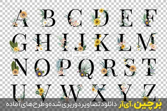 خرید و قیمت دانلود مجموعه حروف الفبای انگلیسی با دیزاین گل ترب