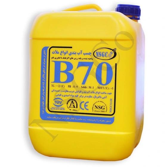 خرید و قیمت چسب و افزودنی ملات نانو B70 (10 لیتری) | ترب
