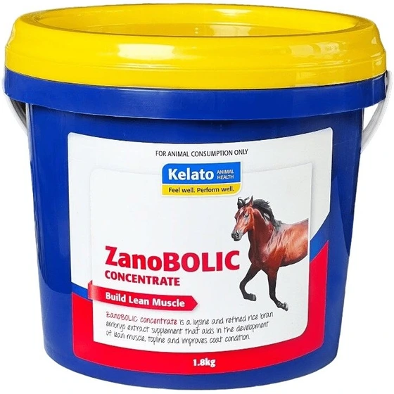 خرید و قیمت مکمل عضله ساز اسب زانابولیک ZanoBOLIC | ترب