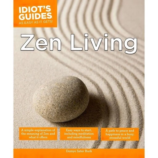 خرید و قیمت کتاب زبان اصلی Idiots Guides اثر Domyo Sater Burk and Domyo ...