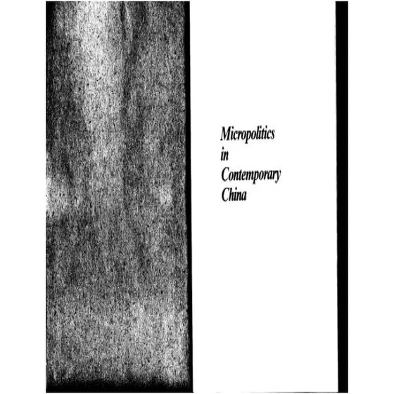 خرید و قیمت دانلود کتاب Micropolitics in contemporary China: A ...