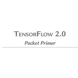 خرید و قیمت دانلود کتاب TensorFlow 2 Pocket Primer 2019 | ترب
