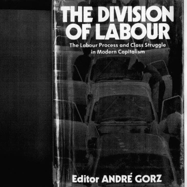 خرید و قیمت دانلود کتاب The Division of Labour: The Labour Process and ...