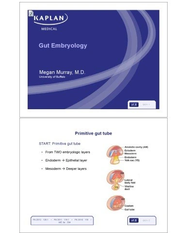خرید و قیمت دانلود کتاب Kaplan High-Yield Gastroenterology - Gut Embryology | ترب