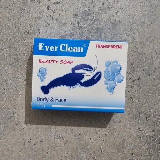 خرید و قیمت صابون خرچنگ اورکلین 65 گرم ا Everclean Beauty soap | ترب