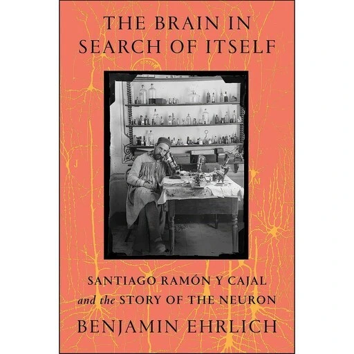 خرید و قیمت کتاب زبان اصلی The Brain in Search of Itself اثر Benjamin ...