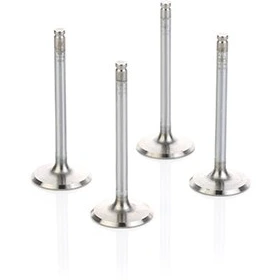 خرید و قیمت سوپاپ دود و هوا پژو 405 مدل stym عظام ا Valve Ezam for Peugeot 405 | ترب