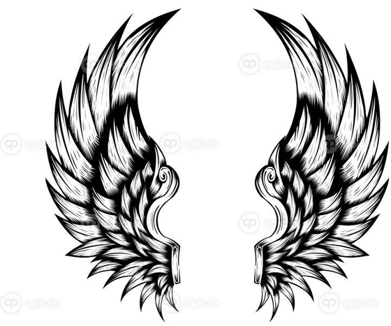 خرید و قیمت وکتور طرح وکتور بال فرشته دانلود رایگان | اوپیک | ترب