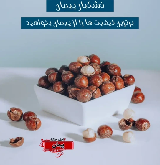 خرید و قیمت فندق باپوست بوداده قزوين | ترب