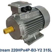 خرید و قیمت الکتروموتور استریم سه فاز Stream 220HPx4P-B3-Y2 315L1-4 | ترب