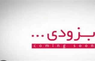 خرید و قیمت آی سی UC2842AN DIP | ترب