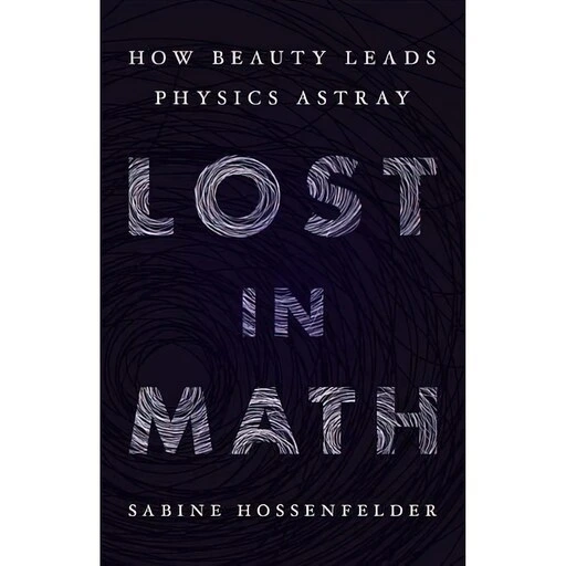 خرید و قیمت کتاب زبان اصلی Lost in Math اثر Sabine Hossenfelder ...