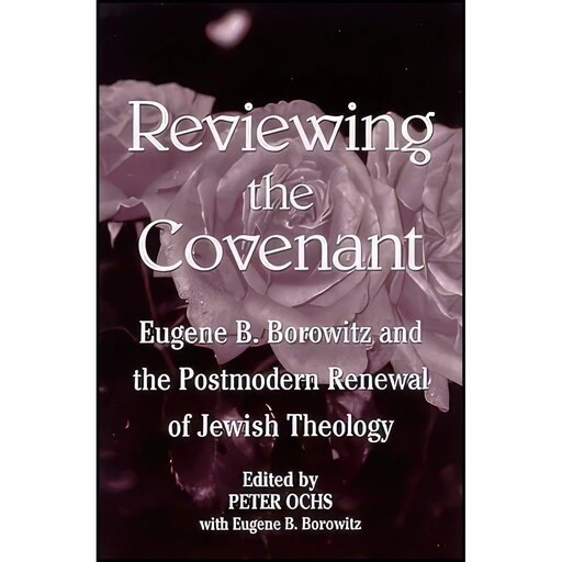 خرید و قیمت کتاب زبان اصلی Reviewing the Covenant اثر Peter Ochs and ...