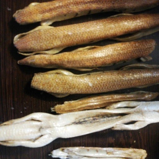 خرید و قیمت ریگ ماهی | ترب