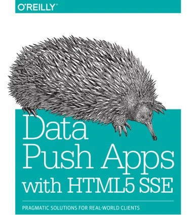 خرید و قیمت دانلود کتاب Data Push Apps with HTML5 SSE: Pragmatic Solutions for Real-World ...
