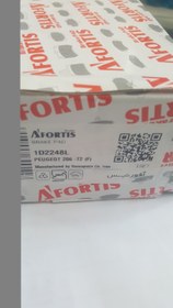 خرید و قیمت لنت ترمز جلو ۲۰۶ تیپ ۲ AFORTIS | ترب