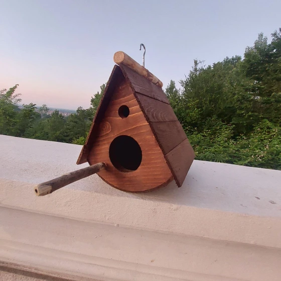 خرید و قیمت آشیانه پرندگان- لانه پرنده- چوبی دست ساز3 | ترب