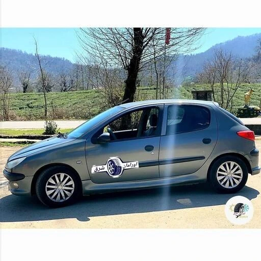 خرید و قیمت قالپاق پژو 206 207 405 طرح رینگ اسپرت ماشین اصلی درجه 1 سایز 14 اینچ مناسب رینگ و ...