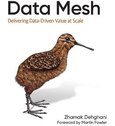 خرید و قیمت دانلود کتاب Data Mesh: Delivering Data-Driven Value at Scale ویرایش 1 | ترب