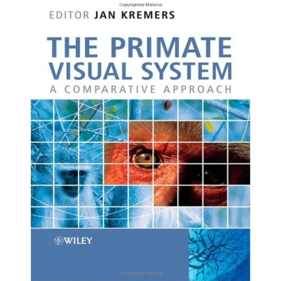 خرید و قیمت دانلود کتاب The Primate Visual System: A Comparative ...