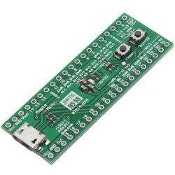 خرید و قیمت برد توسعه مدل Maple Mini | ترب