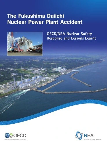 خرید و قیمت دانلود کتاب The Fukushima Daiichi Nuclear Power Plant ...