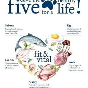 خرید و قیمت غذاي خشك سگ هپي داگ نژاد كوچك عقيم شده طعم گوشت پرندگان و ...