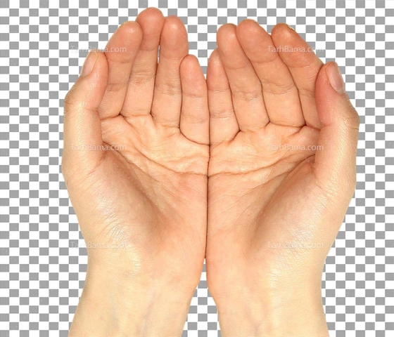 خرید و قیمت تصویر با کیفیت دست در حال دعا | ترب