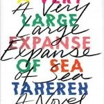 خرید و قیمت A Very Large Expanse of Sea کتاب گستره ای بسیار بزرگ از ...