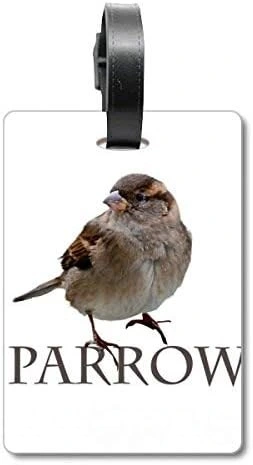 خرید و قیمت Food Side Body Sparrows Birds Suitcase Bag Tag Luggage Card ...