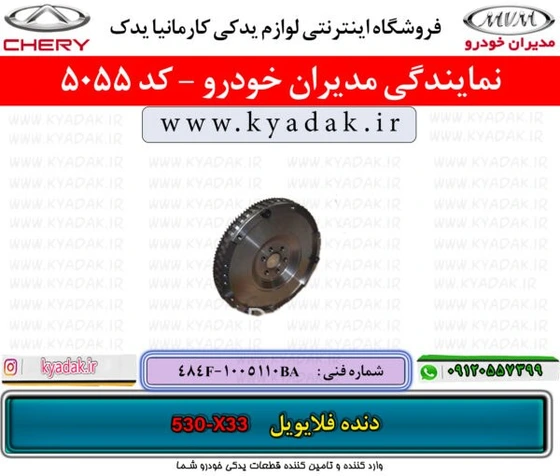 خرید و قیمت دنده فلایویل 530&X33 | ترب